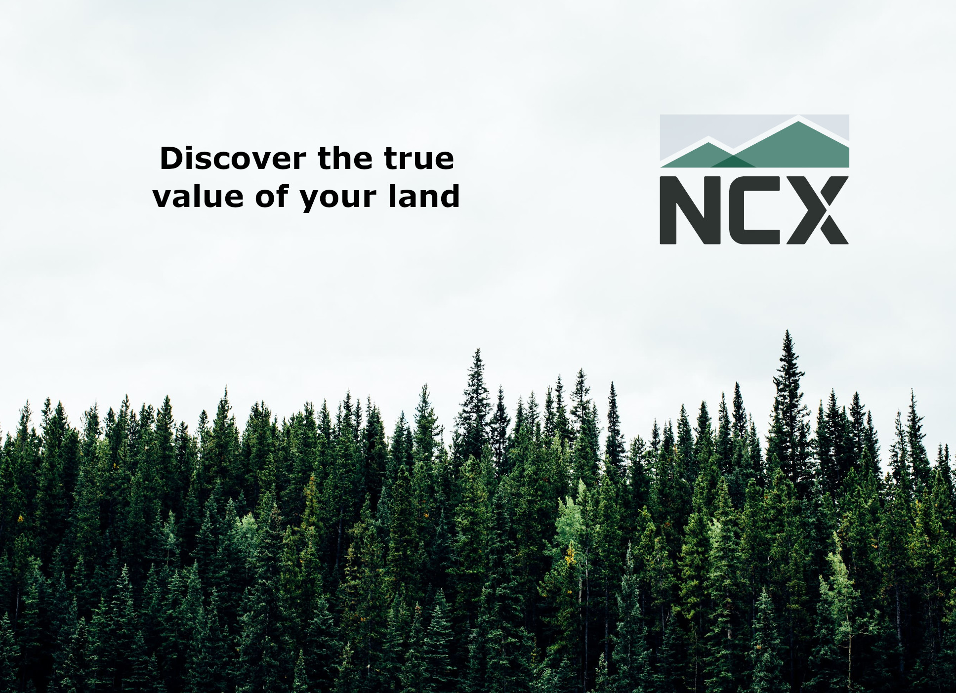 Your Guide to the Nature-Positive Economy - NCX